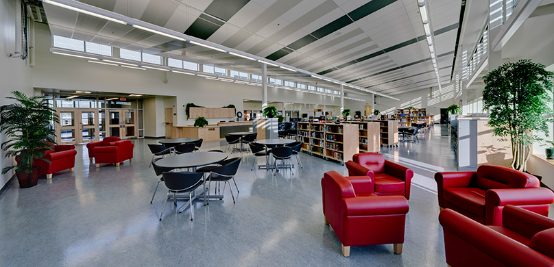 Learning Commons / Library - Elboya School