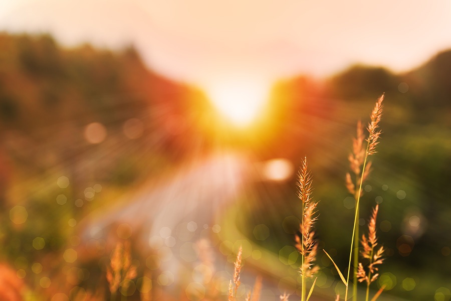 Parent Weekly Update - March 17, 2025 - Elboya School